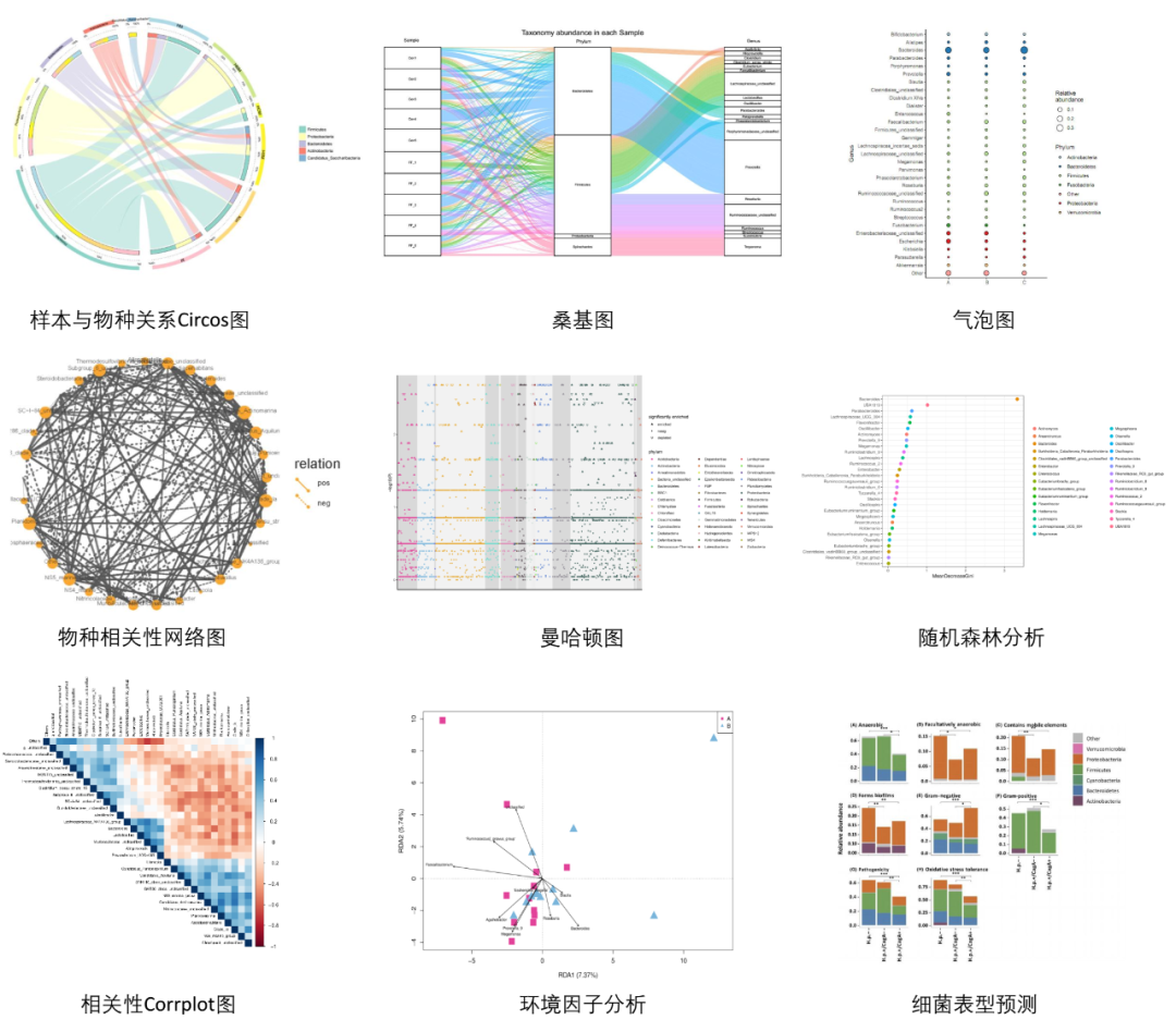 微生物16S测序数据的正确打开方式-CSDN博客