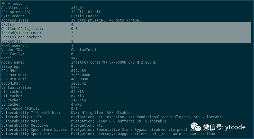 三分钟速览cpu,socket,core,thread等术语之间的关系-CSDN博客