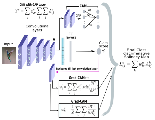 使用Python进行Grad-CAM ++：深度卷积网络的改进视觉解释-CSDN博客