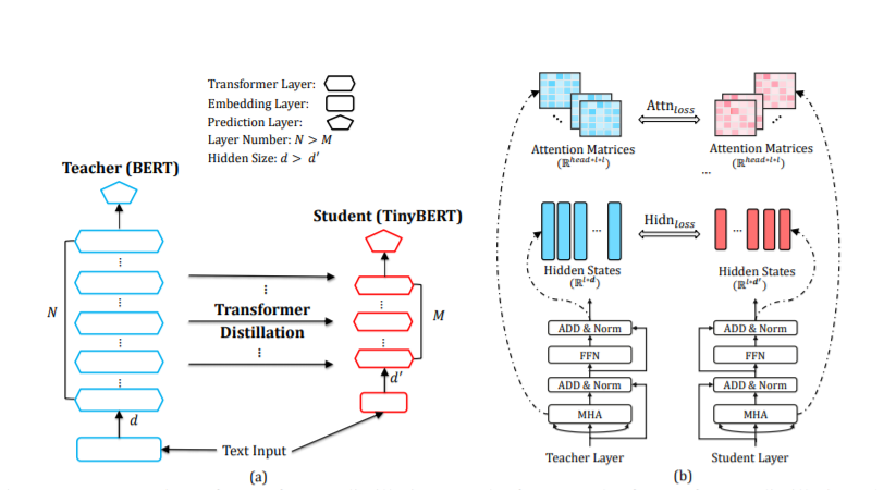 【BERT】BERT模型压缩技术概览-CSDN博客