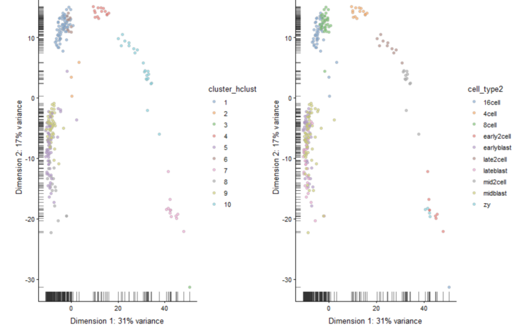 代码分析 | 单细胞转录组clustering详解_single-cell clustering-CSDN博客