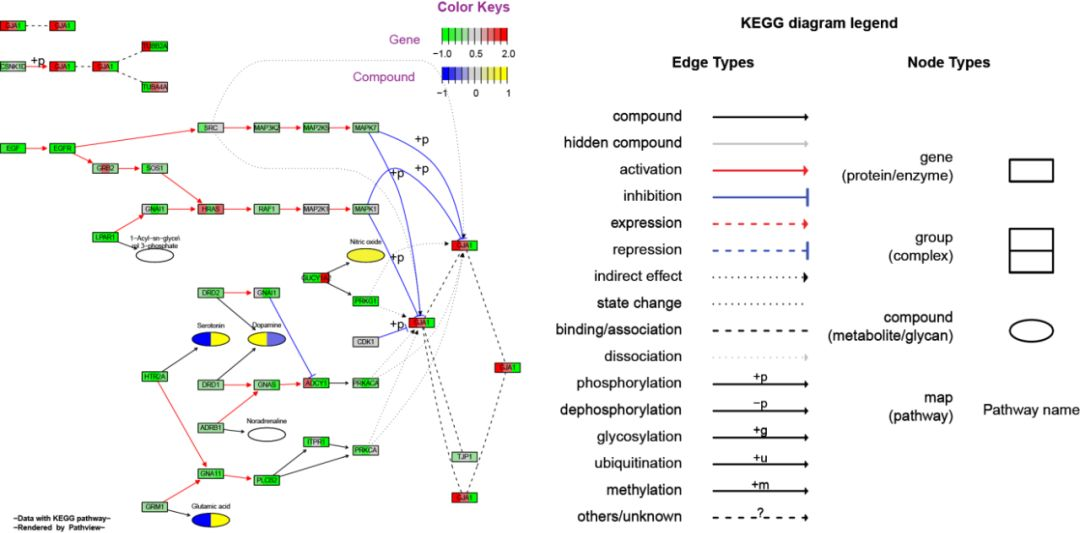 20W+喜爱的Pathview网页版 | 整合表达谱数据KEGG通路可视化-CSDN博客