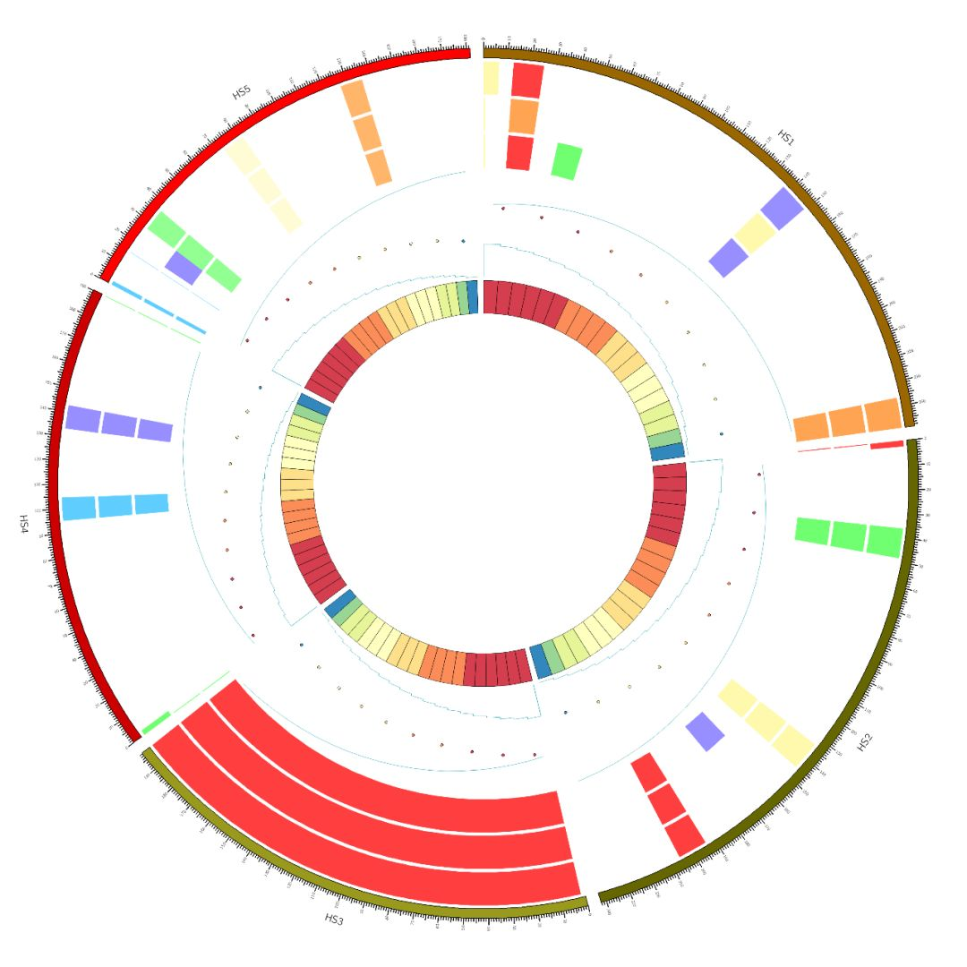 CIRCOS增加热图、点图、线图和区块属性-CSDN博客