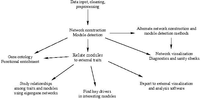 WGCNA分析，简单全面的最新教程（可以在线做了）-CSDN博客
