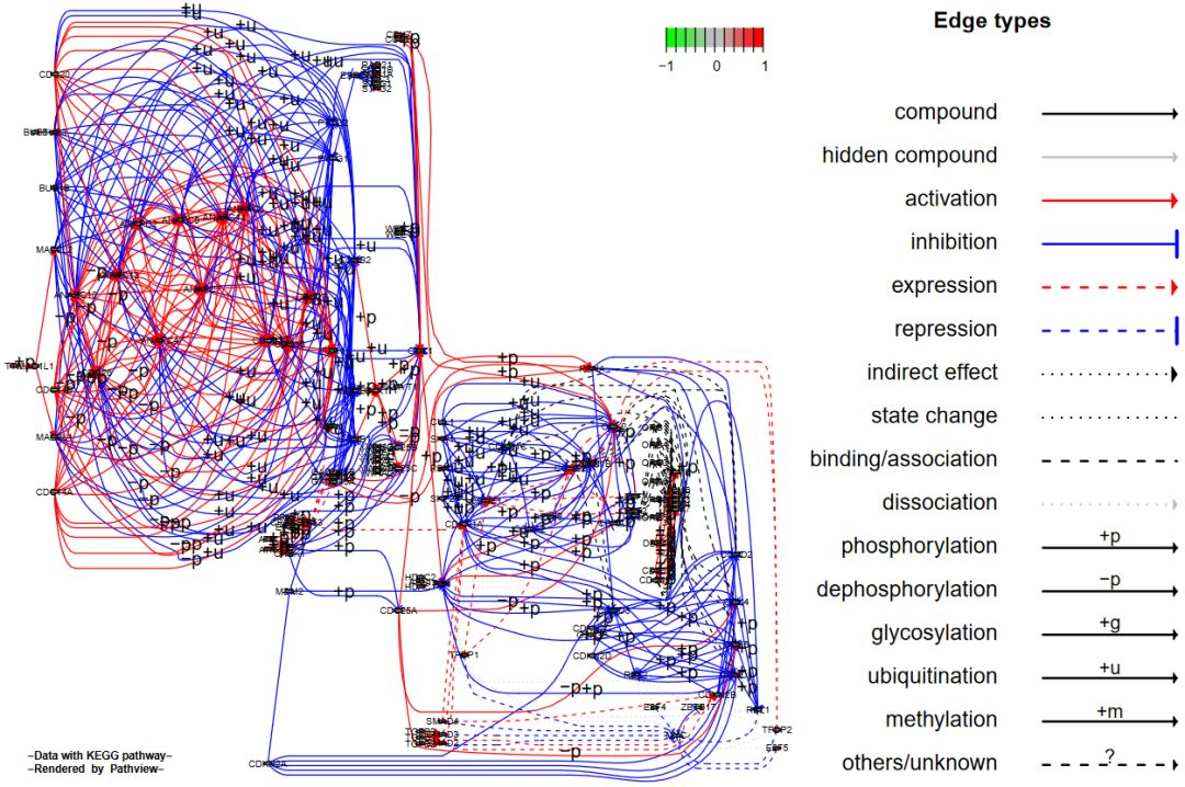 Pathview包：整合表达谱数据可视化KEGG通路-CSDN博客