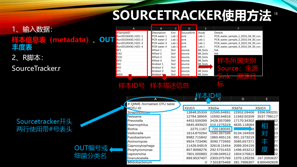 积微论坛--用微生物组时序数据重现生物膜装配动态过程PPT对应的讲解和提问-CSDN博客
