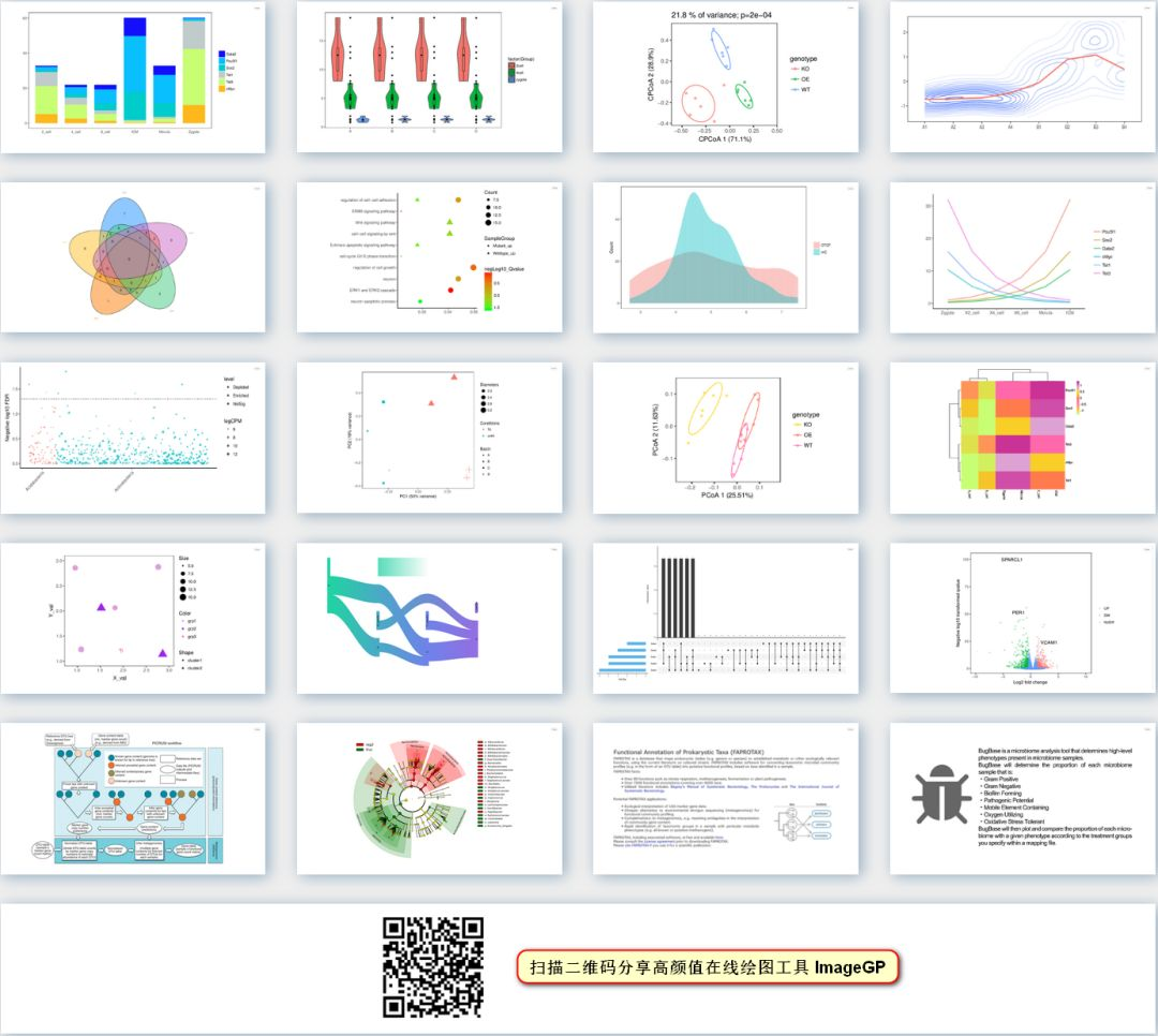 Pathview包：整合表达谱数据可视化KEGG通路-CSDN博客