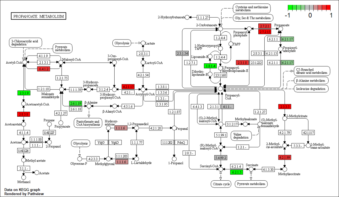 Pathview包：整合表达谱数据可视化KEGG通路-CSDN博客