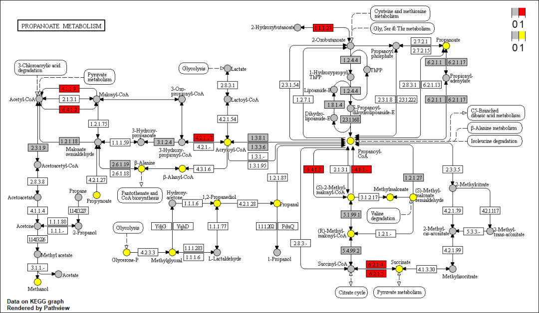 Pathview包：整合表达谱数据可视化KEGG通路-CSDN博客