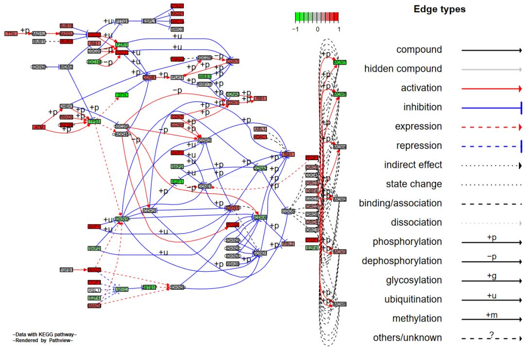 Pathview包：整合表达谱数据可视化KEGG通路-CSDN博客