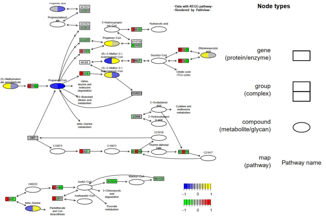 Pathview包：整合表达谱数据可视化KEGG通路-CSDN博客