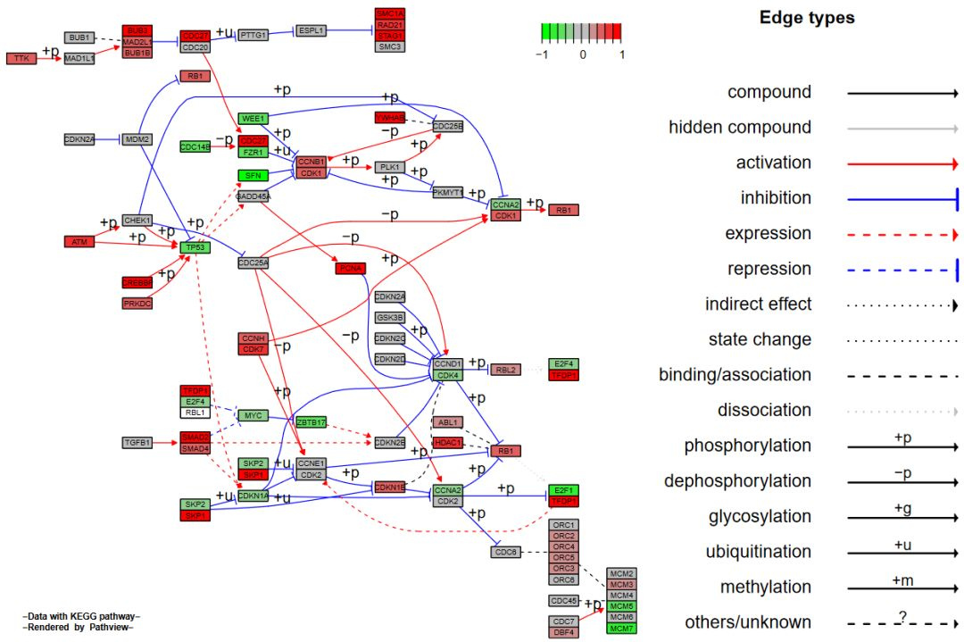 Pathview包：整合表达谱数据可视化KEGG通路-CSDN博客