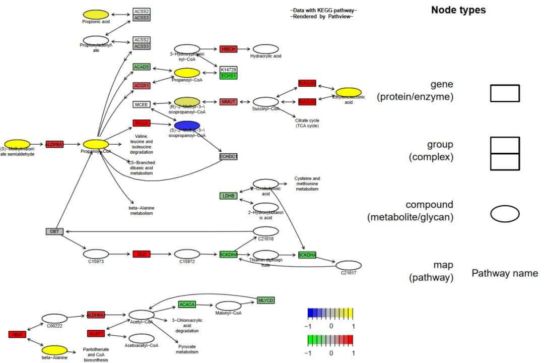 Pathview包：整合表达谱数据可视化KEGG通路-CSDN博客