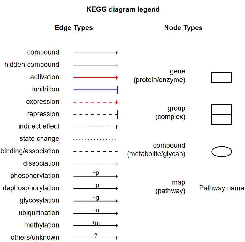 Pathview包：整合表达谱数据可视化KEGG通路-CSDN博客