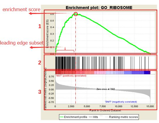 一文掌握GSEA，超详细教程！-CSDN博客