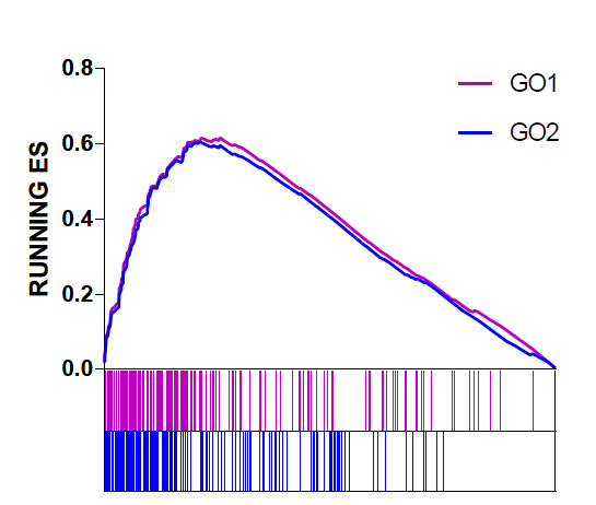 一文掌握GSEA，超详细教程！-CSDN博客