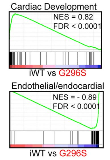 一文掌握GSEA，超详细教程！-CSDN博客