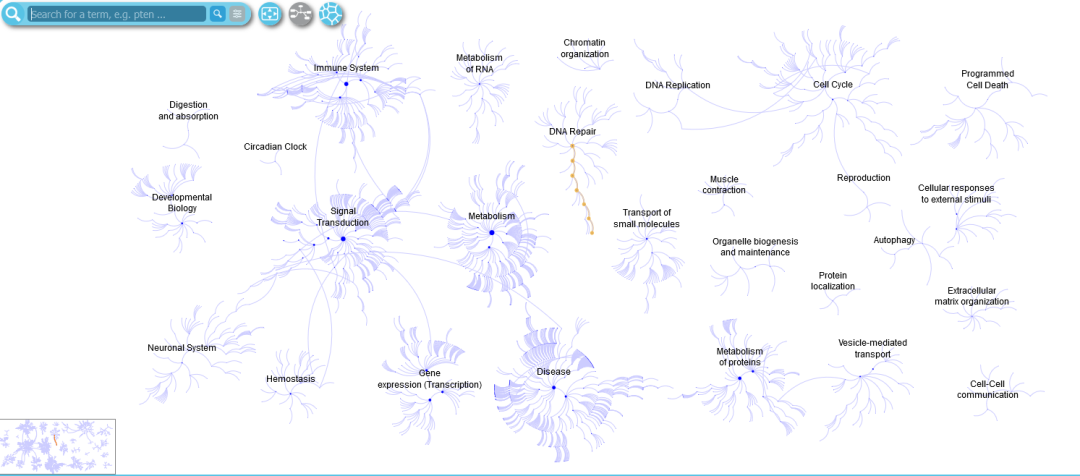 推荐几个常用的生物通路数据库-CSDN博客