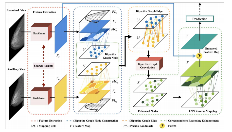 CVPR 2020 论文大盘点-医学影像处理识别篇_asyndgan_OpenCV中文网公众号的博客-CSDN博客