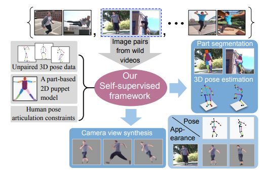 CVPR 2020 论文大盘点-人体姿态估计与动作捕捉篇-CSDN博客