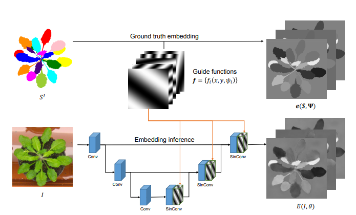 生物图像实例分割_harmonic embedding-CSDN博客