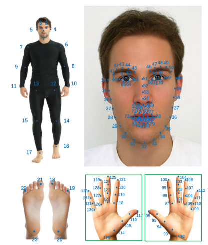 ECCV 2020 论文大盘点-姿态估计与动作捕捉篇_key frame proposal network for efficient pose esti-CSDN博客