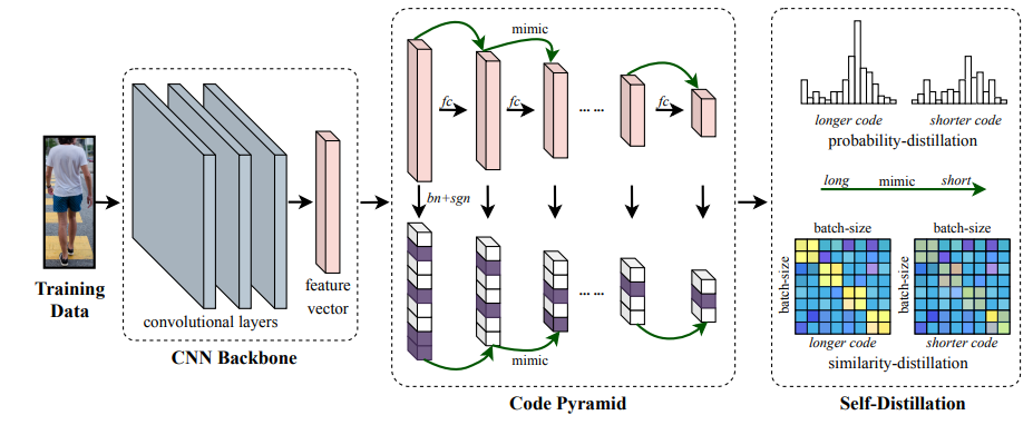 ECCV 2020 论文大盘点-人员重识别（ReID）篇_adaptive super-resolution for person re-identifica-CSDN博客