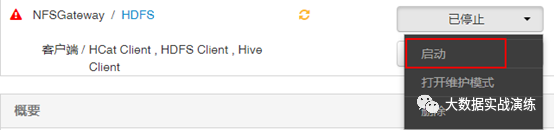 HDFS NFS Gateway配置使用说明-CSDN博客