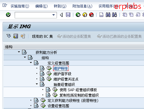 SAP PA获利分析案例教程后台配置-CSDN博客