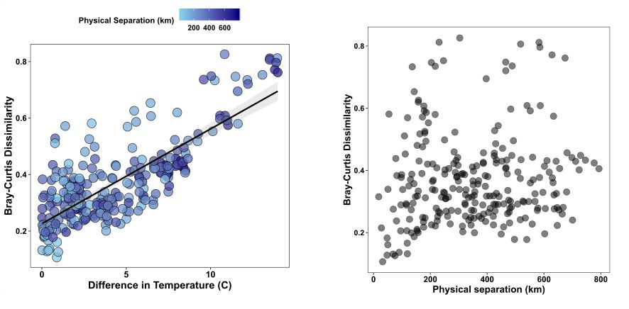 R包vegan的Mantel tests探索群落物种组成是否与环境相关-CSDN博客