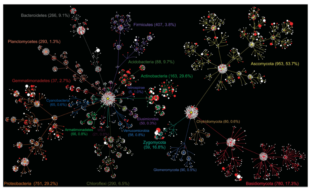 Cytoscape可视化物种分类树结构-CSDN博客
