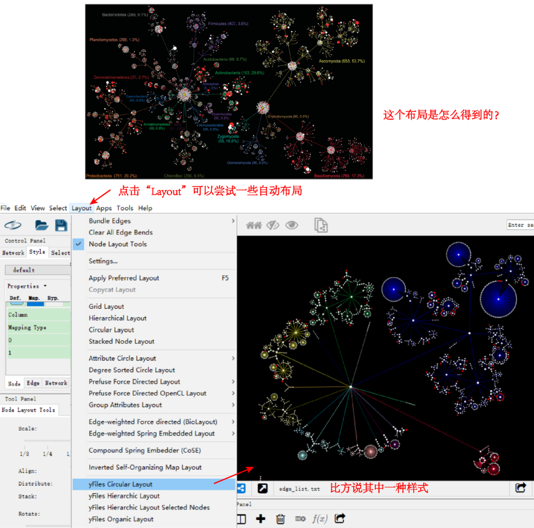 Cytoscape可视化物种分类树结构-CSDN博客
