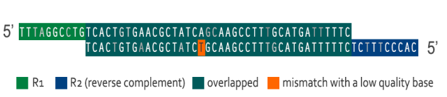 fastp: 极速全能的FASTQ文件自动质控+过滤+校正+预处理软件-CSDN博客