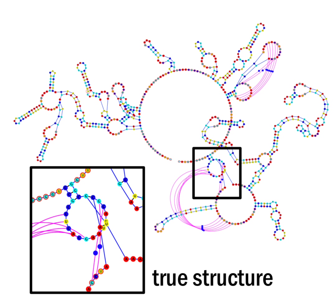 ICLR 2020 | 利用深度展开算法寻找RNA的二级结构_如何获取rna的二级结构-CSDN博客