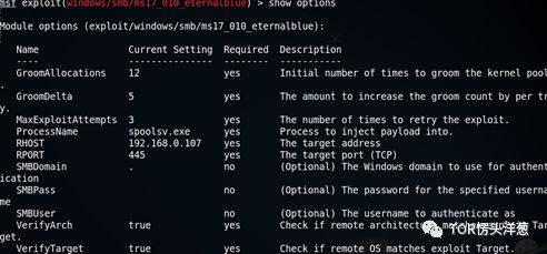 永恒之蓝（EternalBlue）实例复现_大蒜头Leiet的博客-CSDN博客