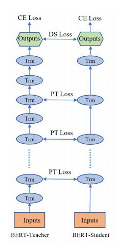 BERT 瘦身之路：Distillation，Quantization，Pruning-CSDN博客