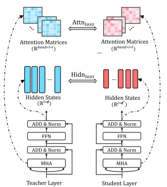 BERT 瘦身之路：Distillation，Quantization，Pruning-CSDN博客