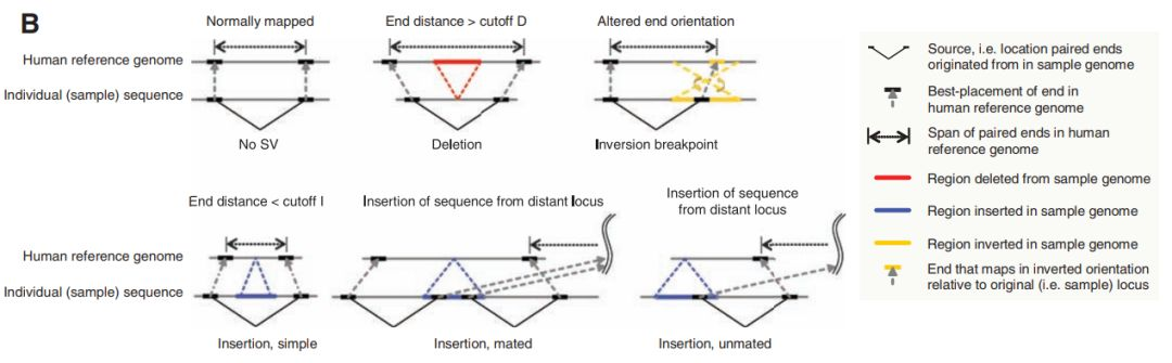 全基因组数据CNV分析简介-CSDN博客