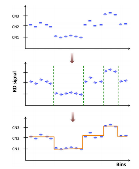 全基因组数据CNV分析简介-CSDN博客