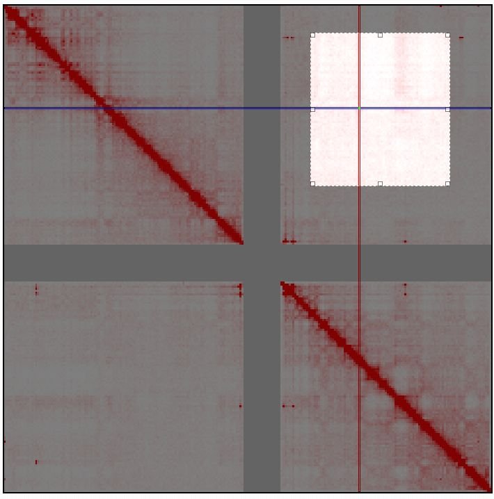 Hi-C Data Browser:Hi-C数据浏览器-CSDN博客