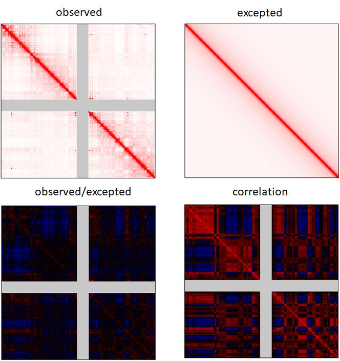 Hi-C Data Browser:Hi-C数据浏览器-CSDN博客