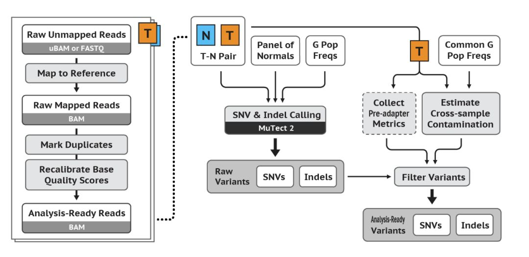 GATK4最佳实践-体细胞突变的检测与识别-CSDN博客