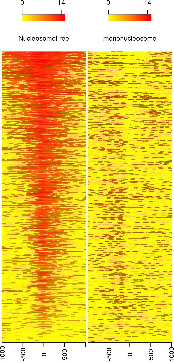 从GTF文件中提取TSS上下游1kb的区间，要多少行代码？-CSDN博客
