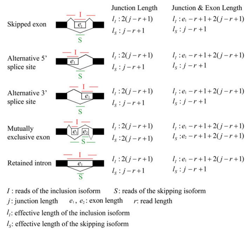 使用rmats进行可变剪切的分析-CSDN博客