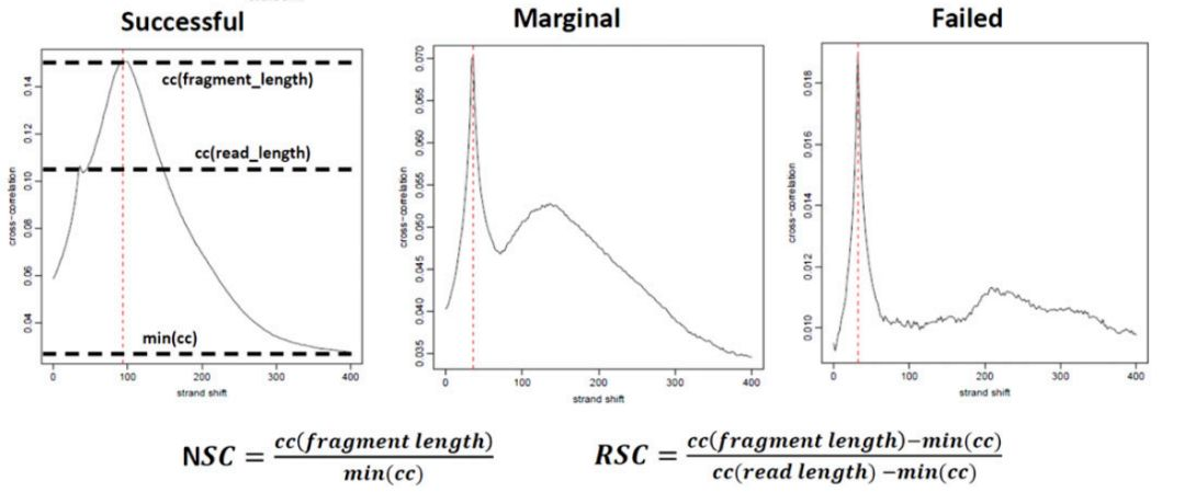 chip_seq质量评估之cross correlation-CSDN博客