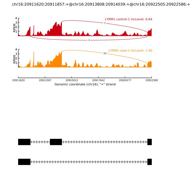rmats2sashimiplot:可视化rmats的可变剪切结果-CSDN博客