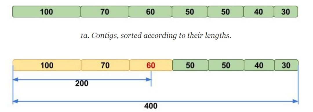 QUAST:评估基因组组装效果-CSDN博客
