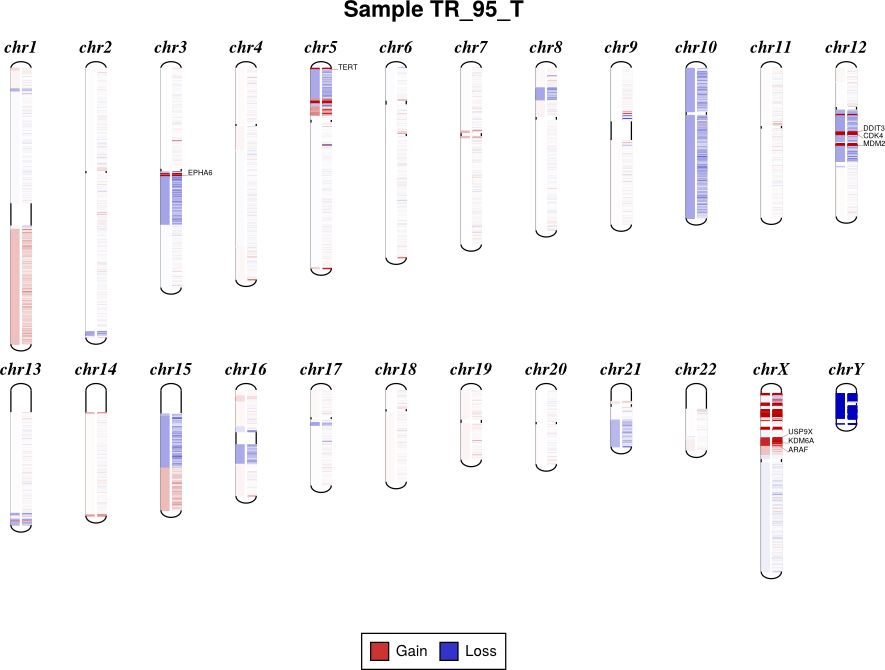 使用CNVkit进行CNV分析 - 灰信网（软件开发博客聚合）