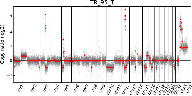 使用CNVkit进行CNV分析-CSDN博客