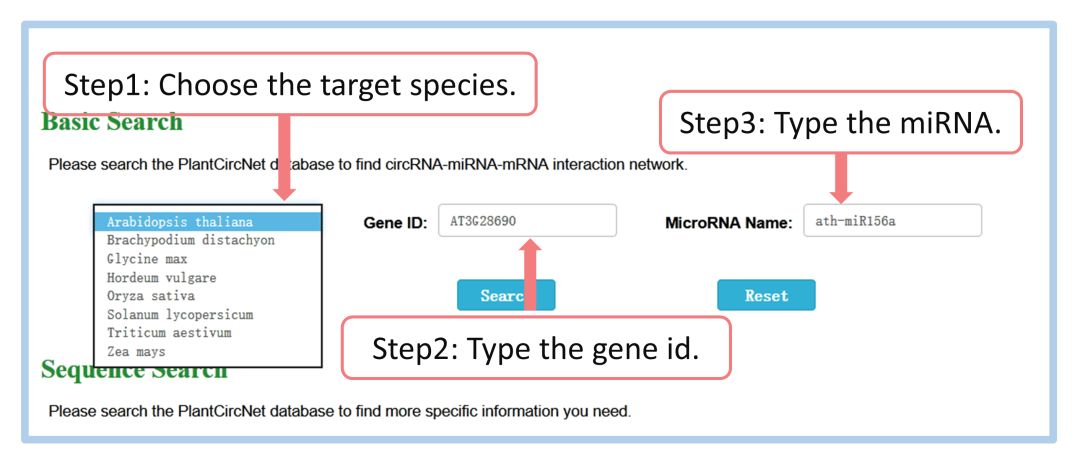 PlantCircNet:植物ceRNA调控网络数据库-CSDN博客